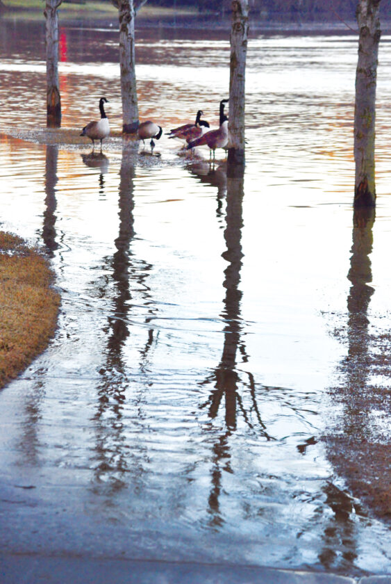 Picture This: Point of Interest | News, Sports, Jobs - News and Sentinel